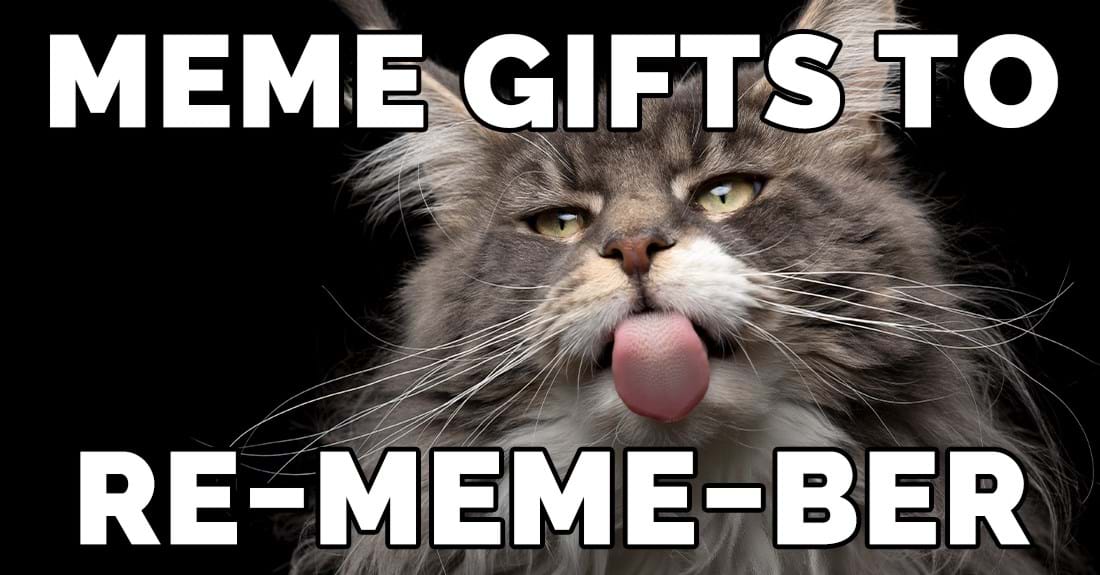 Meme Gifts to Re-meme-ber [Gift Guide] - FUN.com Blog