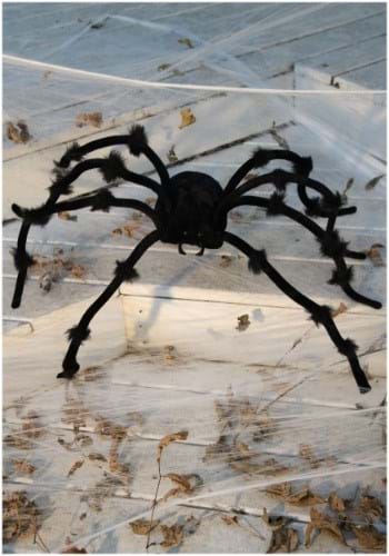 Posable Black 50" Spider Halloween Decoration