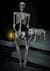 Realistic 5FT Poseable Skeleton Prop Decoration | Skeleton Decorations