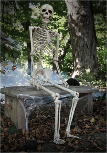 Realistic 5FT Poseable Skeleton Prop Decoration | Skeleton Decorations
