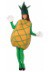 Adult Pineapple Suit Costume | Fruit Costumes
