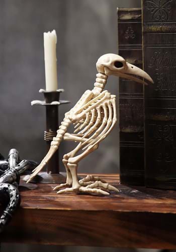 Skeleton Raven Halloween Prop