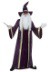 Wizard Plus Size Costume