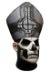 Ghost Papa II Men's Mask