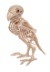 Skeleton Décor Parrot