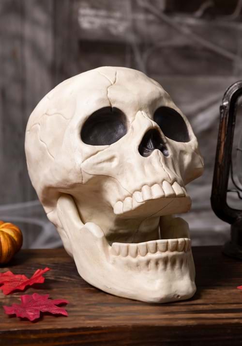 10-Inch Large Skull with Moveable Jaw Decoration | Skeleton Decorations
