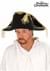 Disney Barbossa Pirate Costume Hat for Adults | Pirate Hats