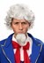 Uncle Sam Wig And Beard Costume Kit
