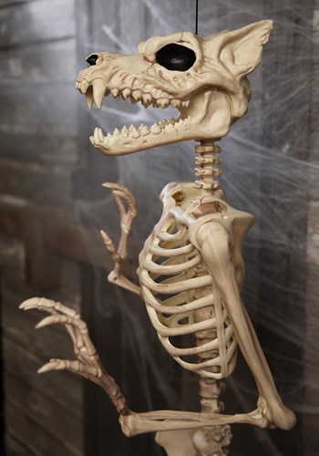 Poseable 5.3FT Werewolf Skeleton Prop | Skeleton Decorations