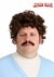 Nacho Libre Adult Wig & Mustache