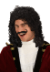 Captain Hook Costume Wig for Adults | Pirate Accessories
