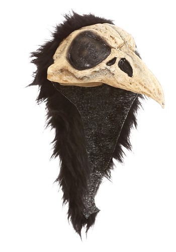 Bird Crow Helmet | Bird Accessories