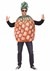 Pineapple Costume for Adults
