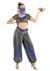 Sexy Genie Women's Costume