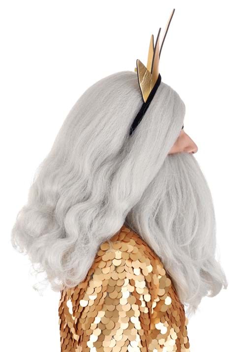 Little Mermaid King Triton Beard and Wig Kit