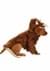 Princess Bride R.O.U.S. Pet Costume