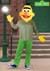 Bert Sesame Street Plus Size Costume