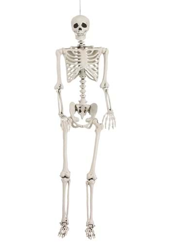 Georgie the Skeleton 5FT Posable Life Size Halloween Prop