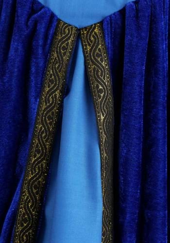 Renaissance Queen Costume for Women | Renaissance Costumes