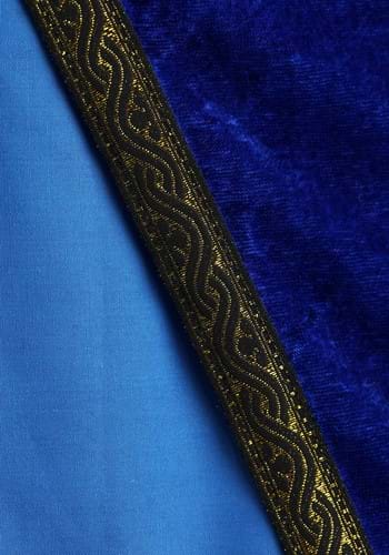 Renaissance Queen Costume for Women | Renaissance Costumes