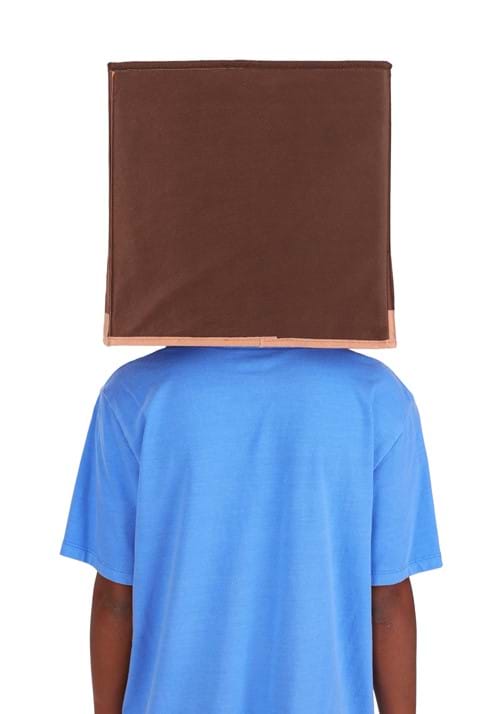 Steve Minecraft Block Head