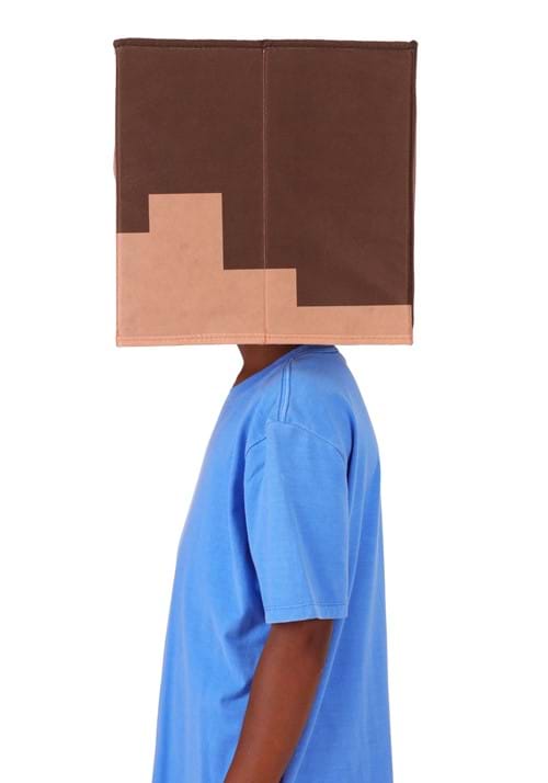 Steve Minecraft Block Head