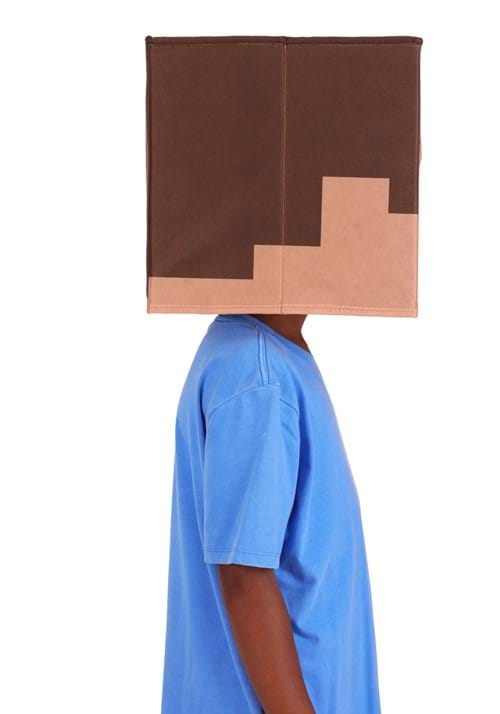 Steve Minecraft Block Head