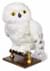 Wizarding World Enchanting Perched Hedwig