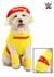 Pet Hulk Hogan Dog Costume | WWE Pet Costumes