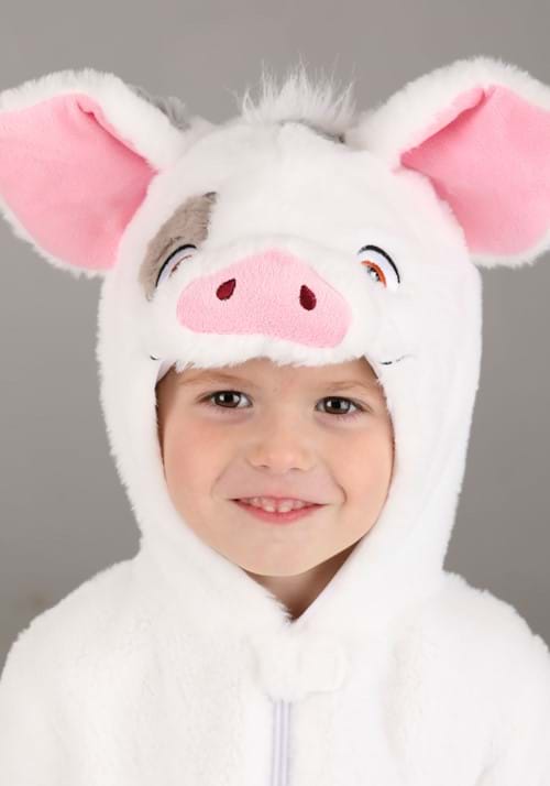 Toddler Moana Pua Costume