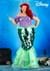Plus Size Women's Disney The Little Mermaid Premium Ariel Mermaid Dress ...