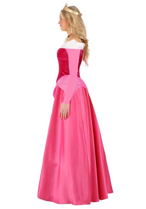 Disney Sleeping Beauty Aurora Premium Costume