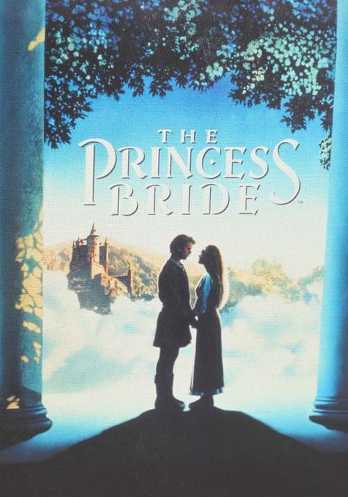 Princess Bride Book Purse