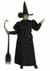 Wizard of Oz Plus Size Wicked Witch Costume