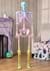 Crazy Bones Poseable Skeleton in Rainbow Halloween Prop