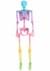 Crazy Bones Poseable Skeleton in Rainbow Halloween Prop