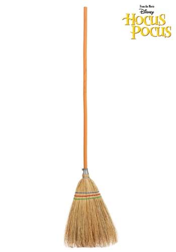 Disney Hocus Pocus Winifred Sanderson Prop Broom | Disney Accessories