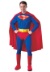 Superman Muscle Chest Men's Costume